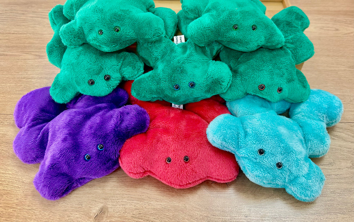 Funky Fidget Frog -Beanbags – Tajama Creations - Handmade Sensory Resources